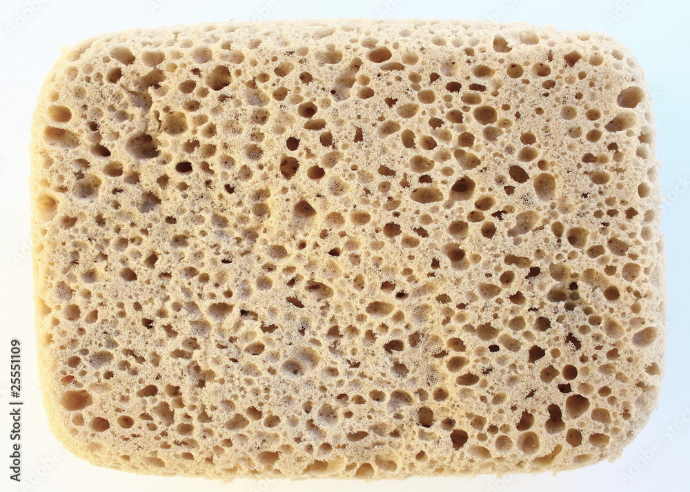 éponge végétale Photos | Adobe Stock