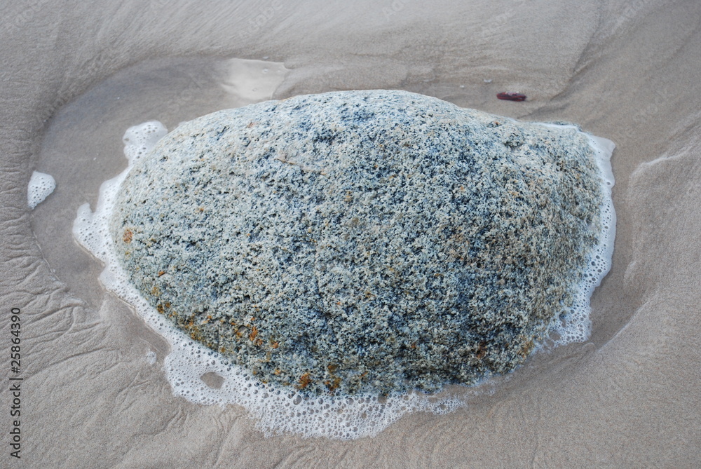 oval Stein auf dem Strand in Miedzyzdroje Wollin Stock-Foto | Adobe Stock