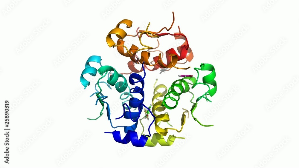 insulin ribbon model 3d rotation Stock Video | Adobe Stock