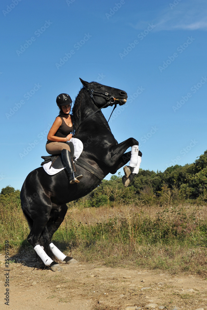 cheval cabré Photos | Adobe Stock