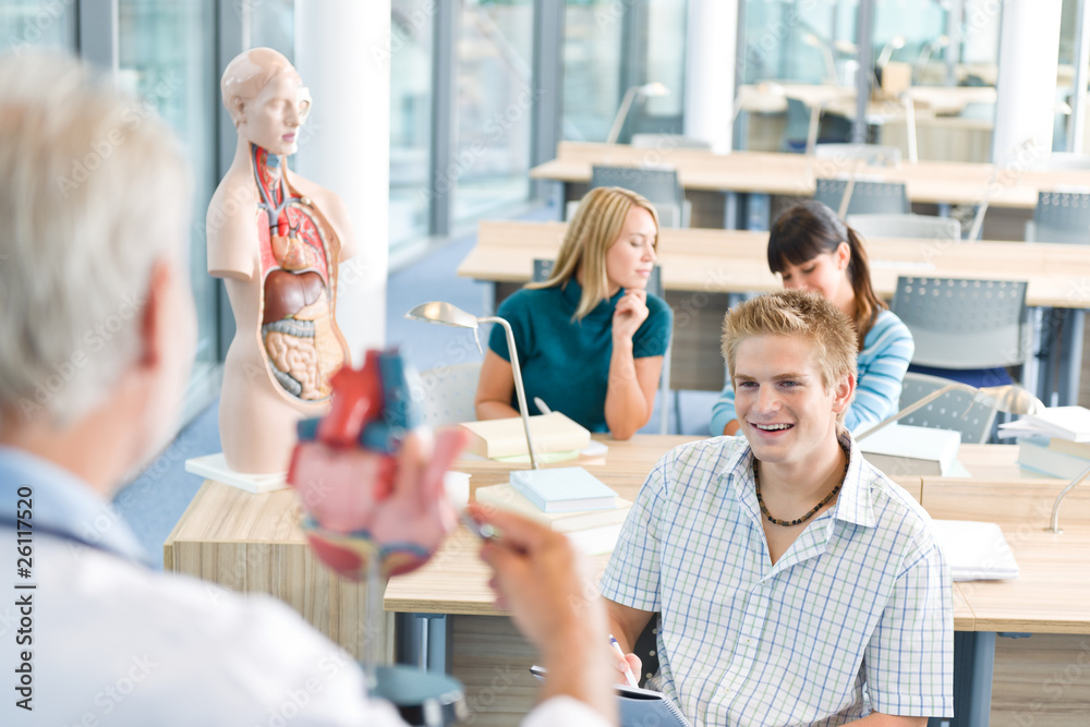 University - medical students with anatomical model Stock Photo | Adobe ...