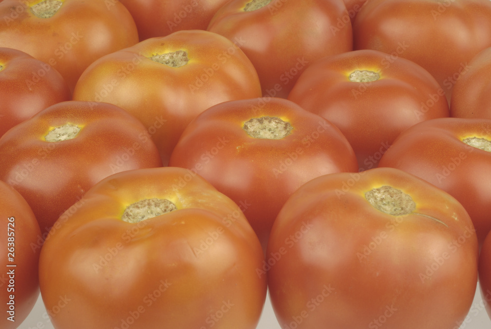 Tomates rojos foto de Stock | Adobe Stock