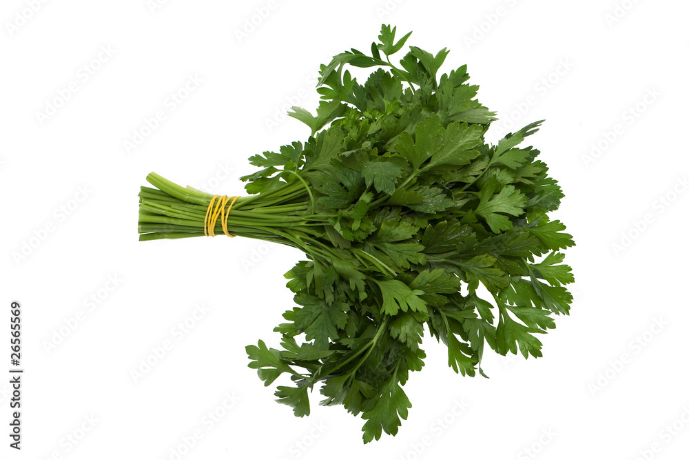 Petersilie Stock Photo | Adobe Stock