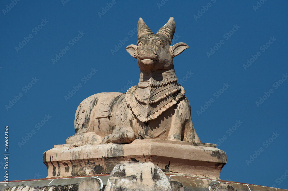 Holy cow Stock Photo | Adobe Stock