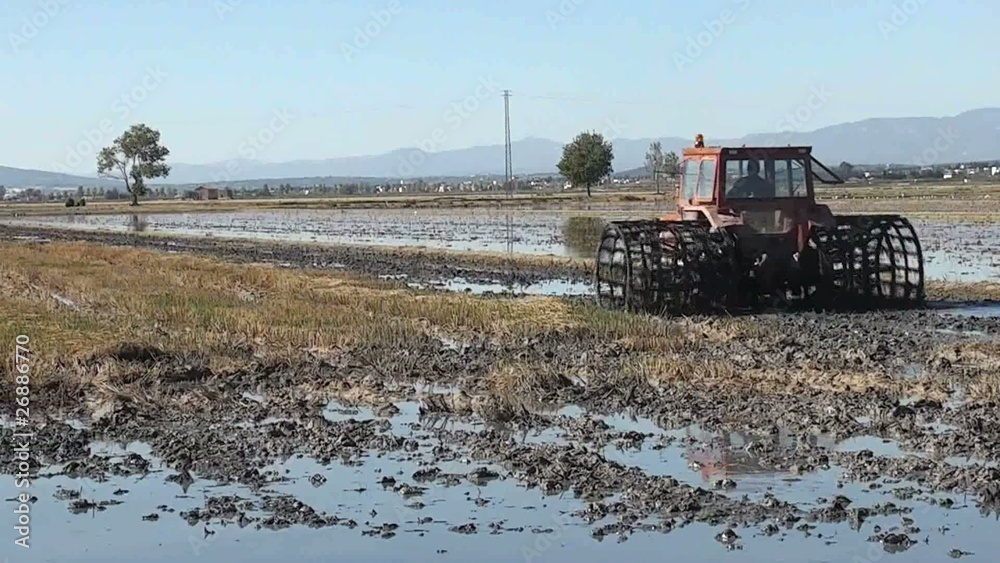 TRACTOR TRABAJANDO EN UN CAMPO DE ARROZ (DELTA DEL EBRO) Stock Video ...