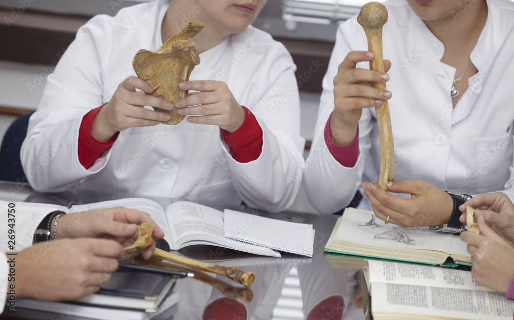 education university student bone anatomy biology Stock Photo | Adobe Stock