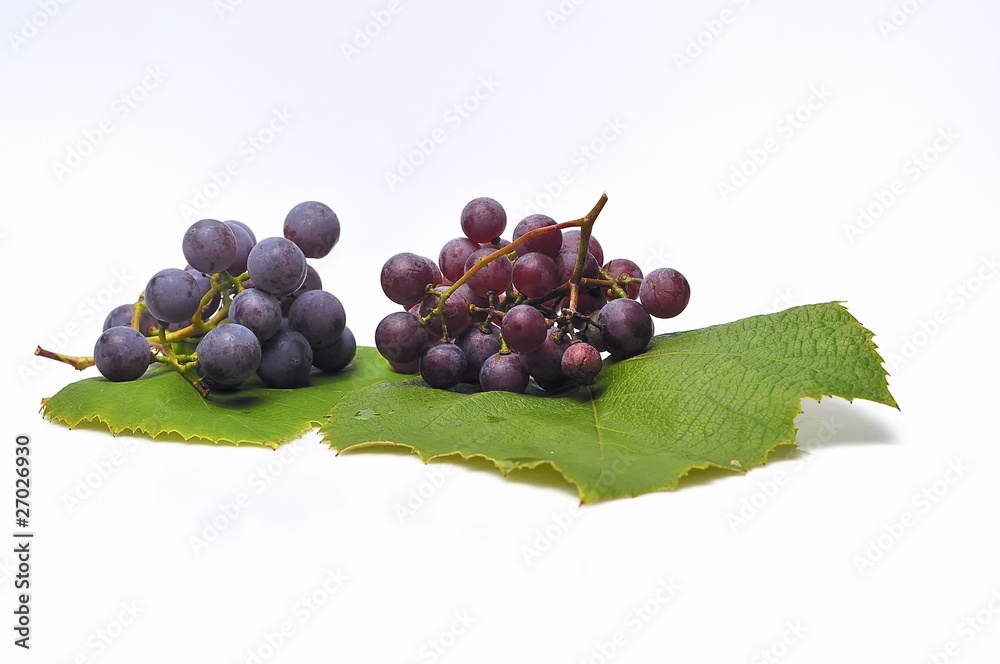 Uvas moradas aisladas Stock Photo | Adobe Stock
