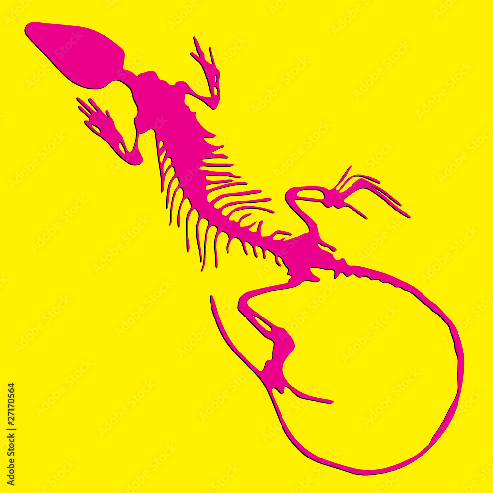 Lizard skeleton vector silhouette Stock Vector | Adobe Stock