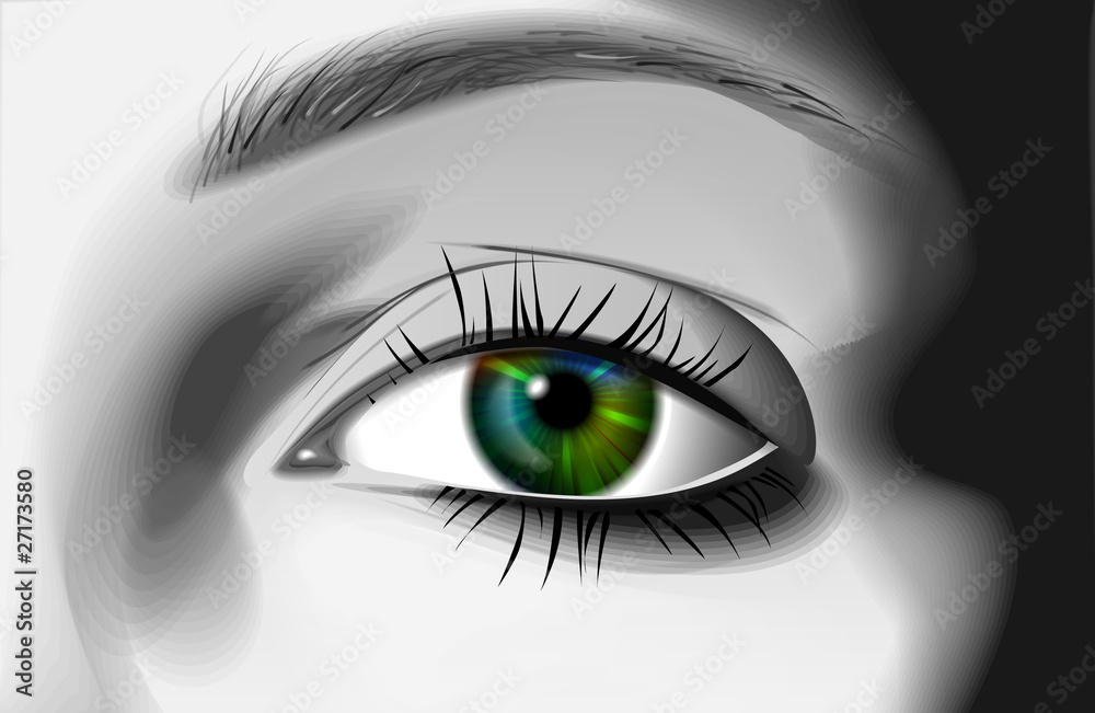 realistic eye illustration Stock Vector | Adobe Stock
