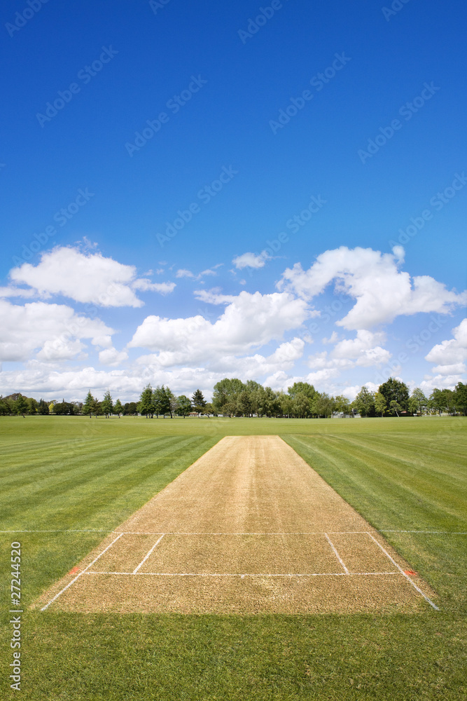 Cricket field background Stock Photo | Adobe Stock