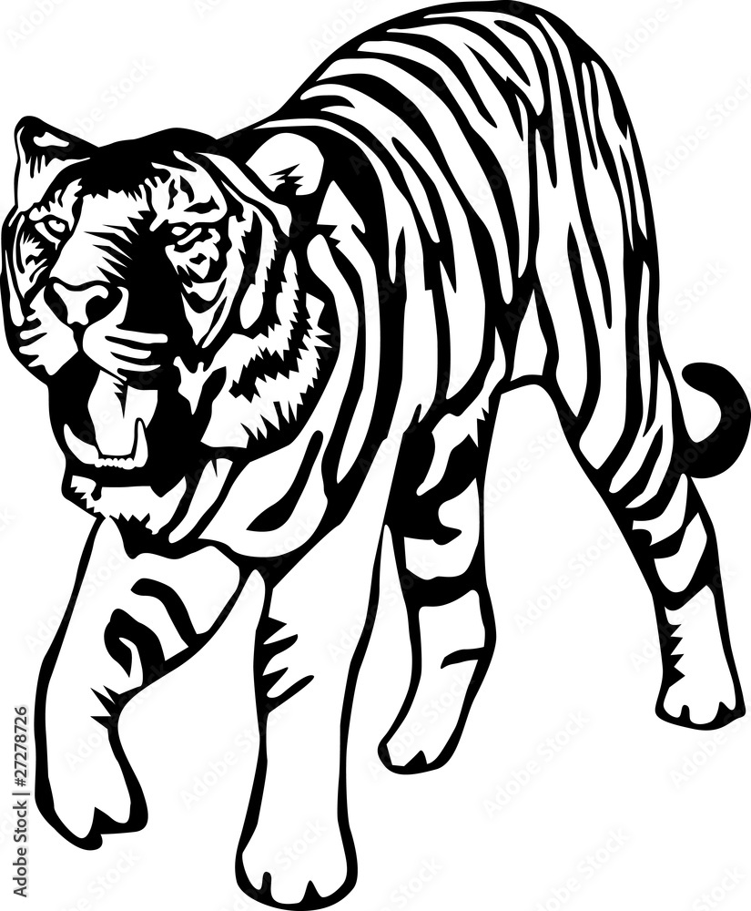 Stampa Tigre In Bianco E Nero