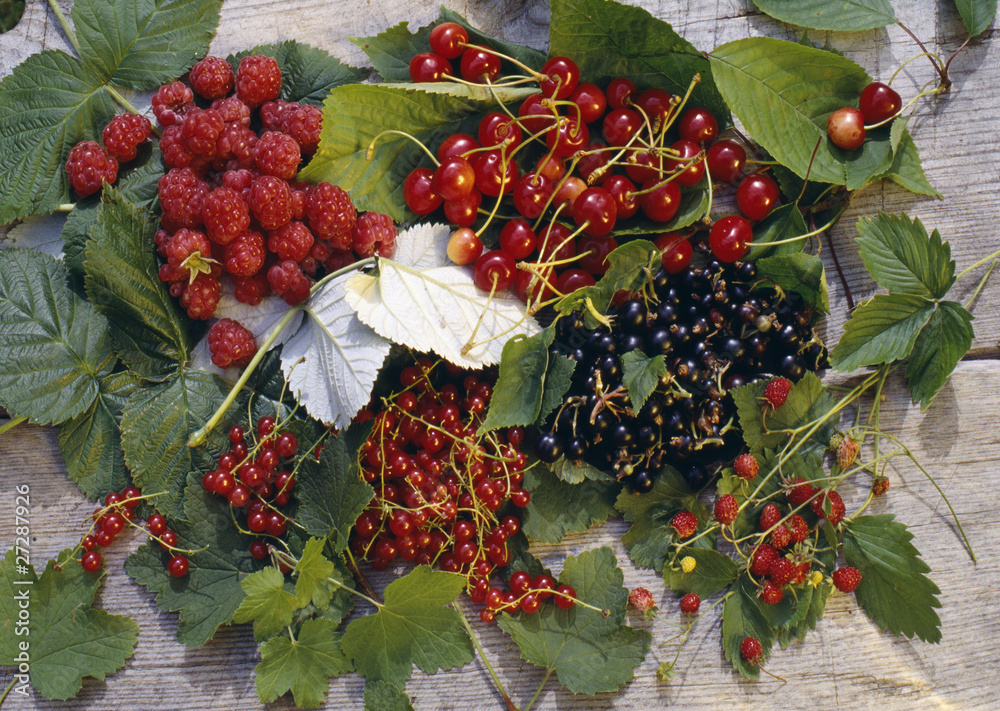 Assortiment de fruits rouges après cueillette Stock Photo | Adobe Stock