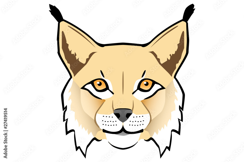 Luchs, Lynx Stock Vector | Adobe Stock