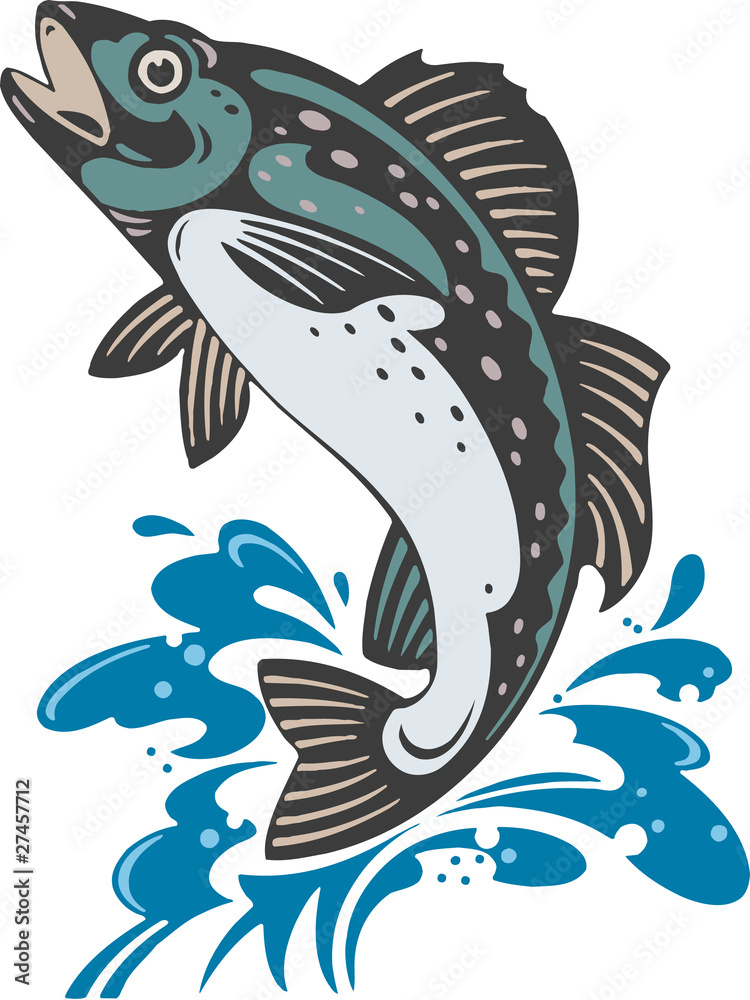 Jumping trout Stock Vector | Adobe Stock
