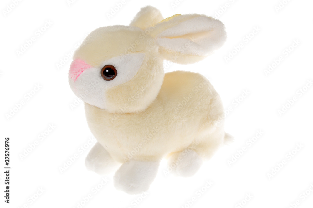 Rabbit Stock Photo | Adobe Stock