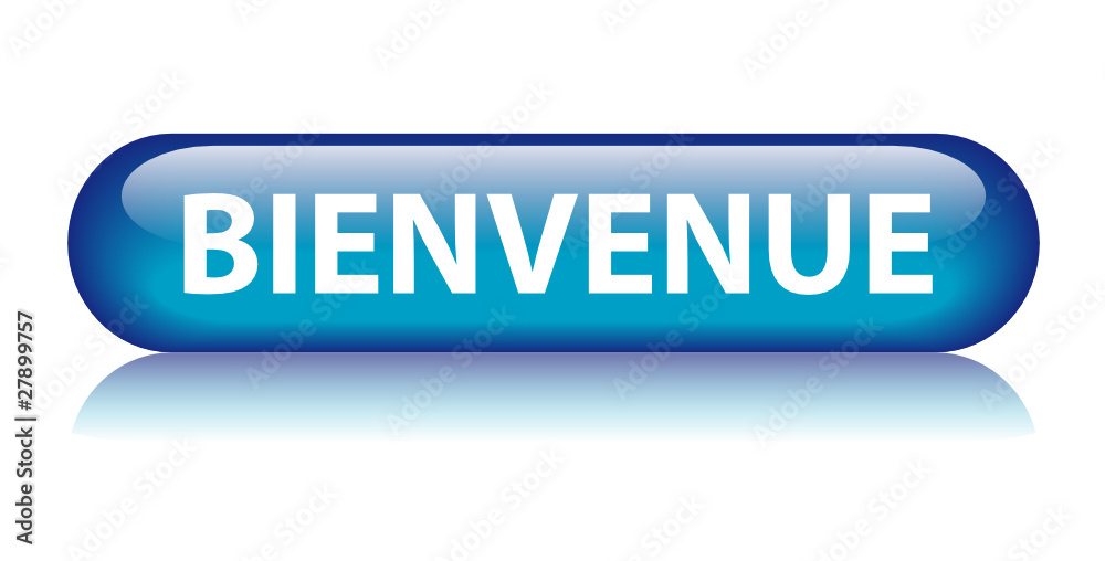 Vecteur Stock Bouton Web Vecteur Stock Bouton Web