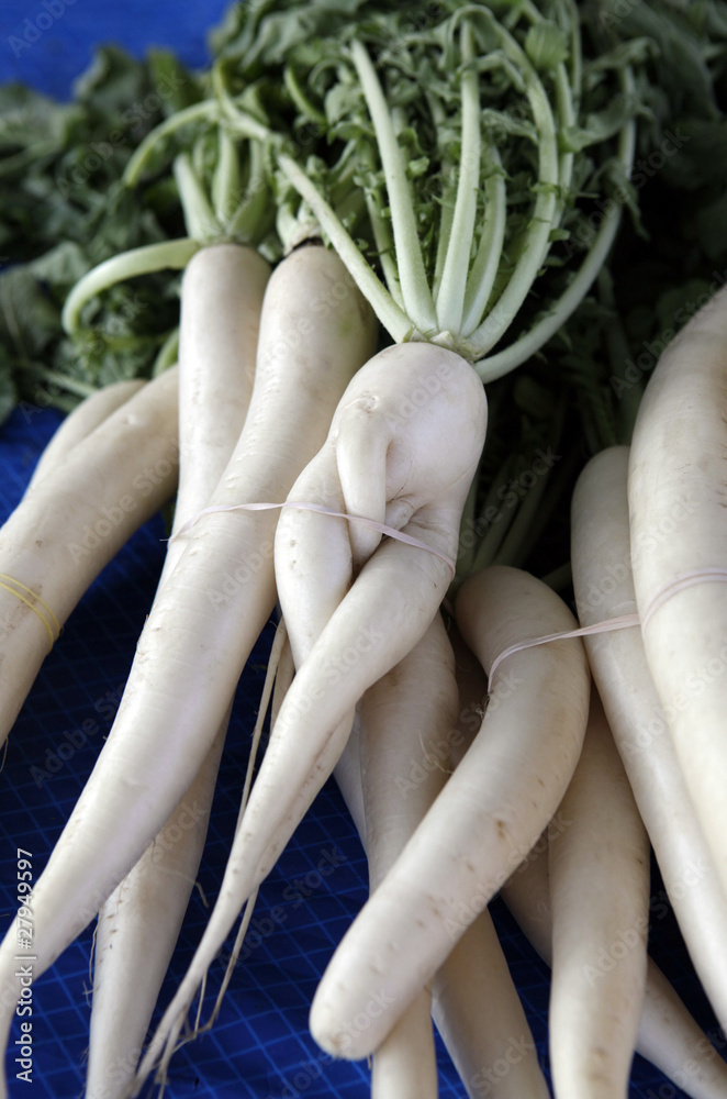 long daikon Stock Photo | Adobe Stock