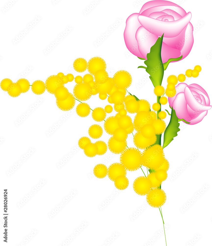 Vettoriale Stock 8 march mimosa and rose flowers | Adobe Stock