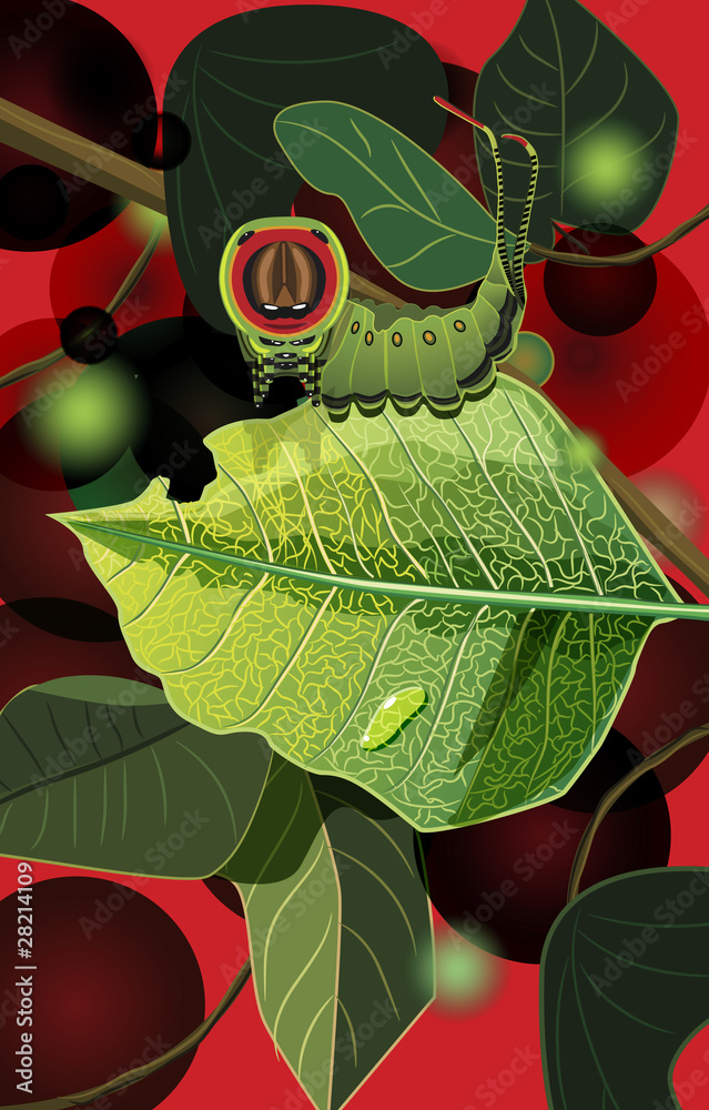 Caterpilar- Vector illustration Stock Vector | Adobe Stock
