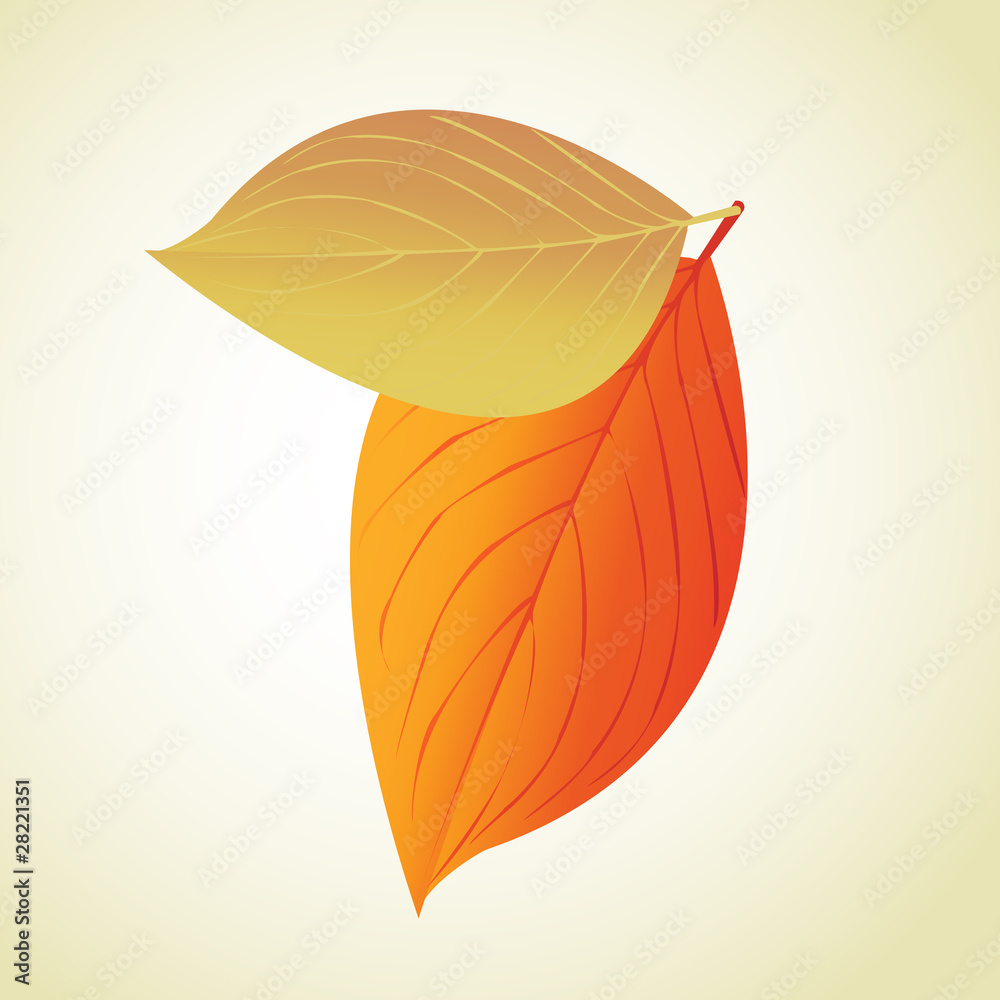 leaf of the tree design vector Stock Vector | Adobe Stock