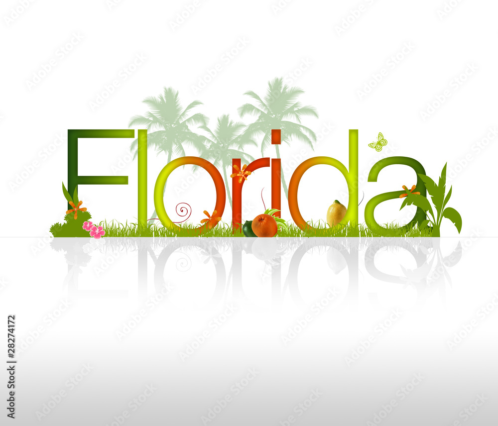 Florida Stock Illustration | Adobe Stock