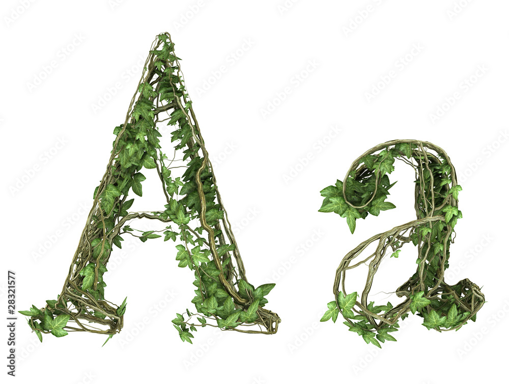 Ivy plant font nature Stock Illustration | Adobe Stock