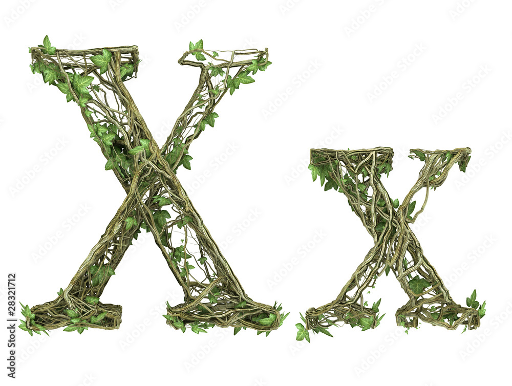 Ivy plant font nature Stock Illustration | Adobe Stock