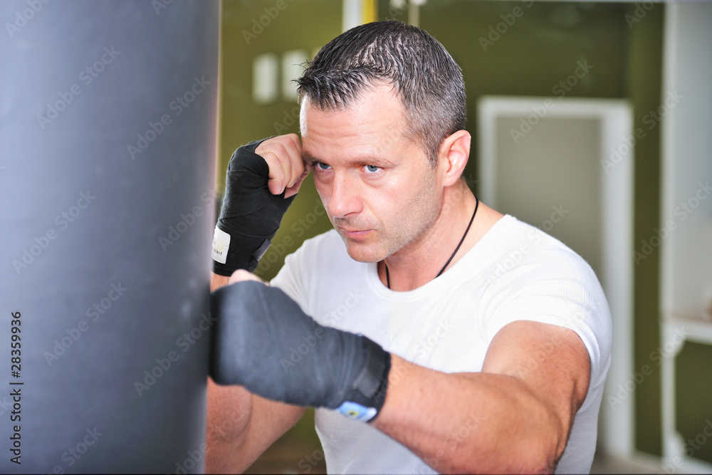 Boxer Stock-Foto | Adobe Stock