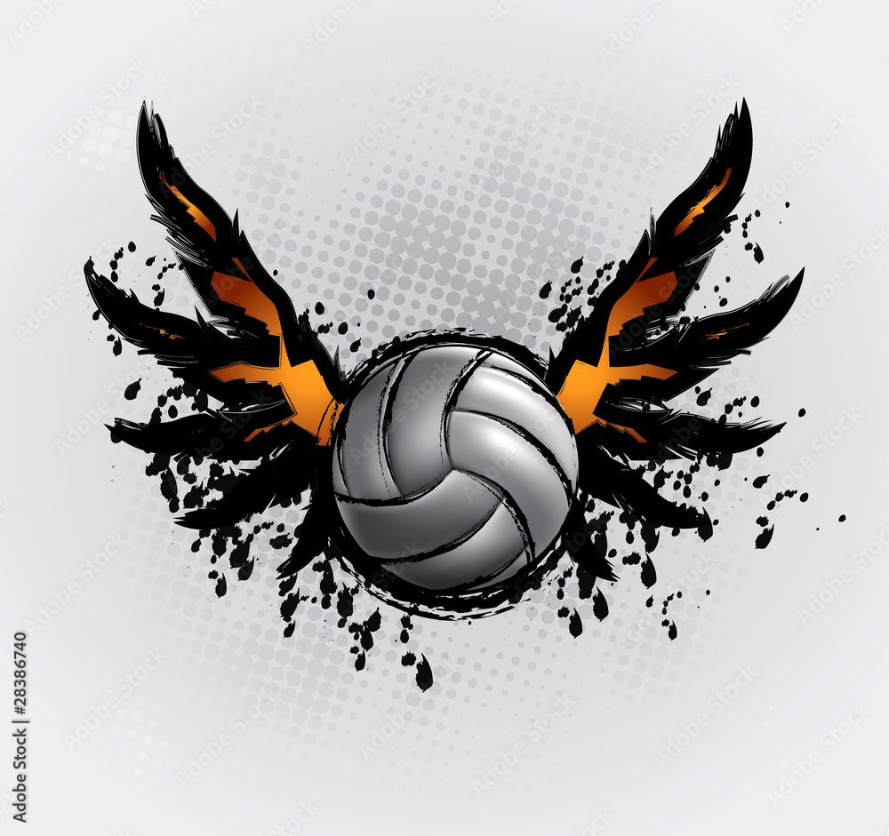 Volleyball Ball Set 6 Stock Vector | Adobe Stock
