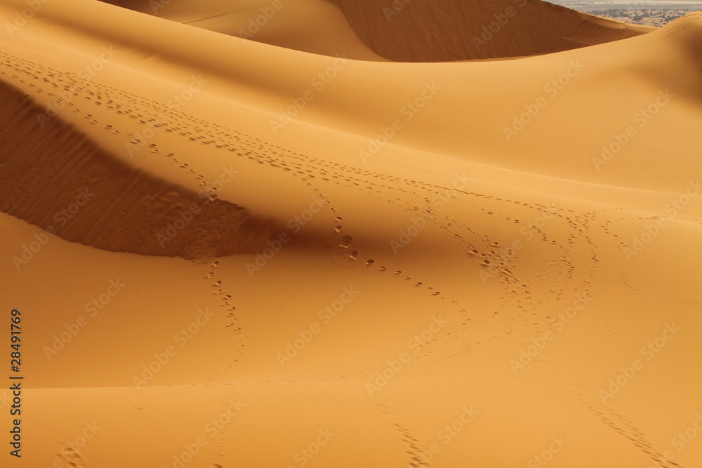 Sahara Desert Morocco Stock Photo | Adobe Stock