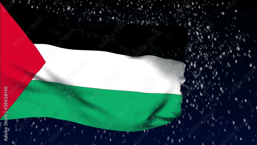Palestine flag waving. White snow background. Seamless loop. Stock ...