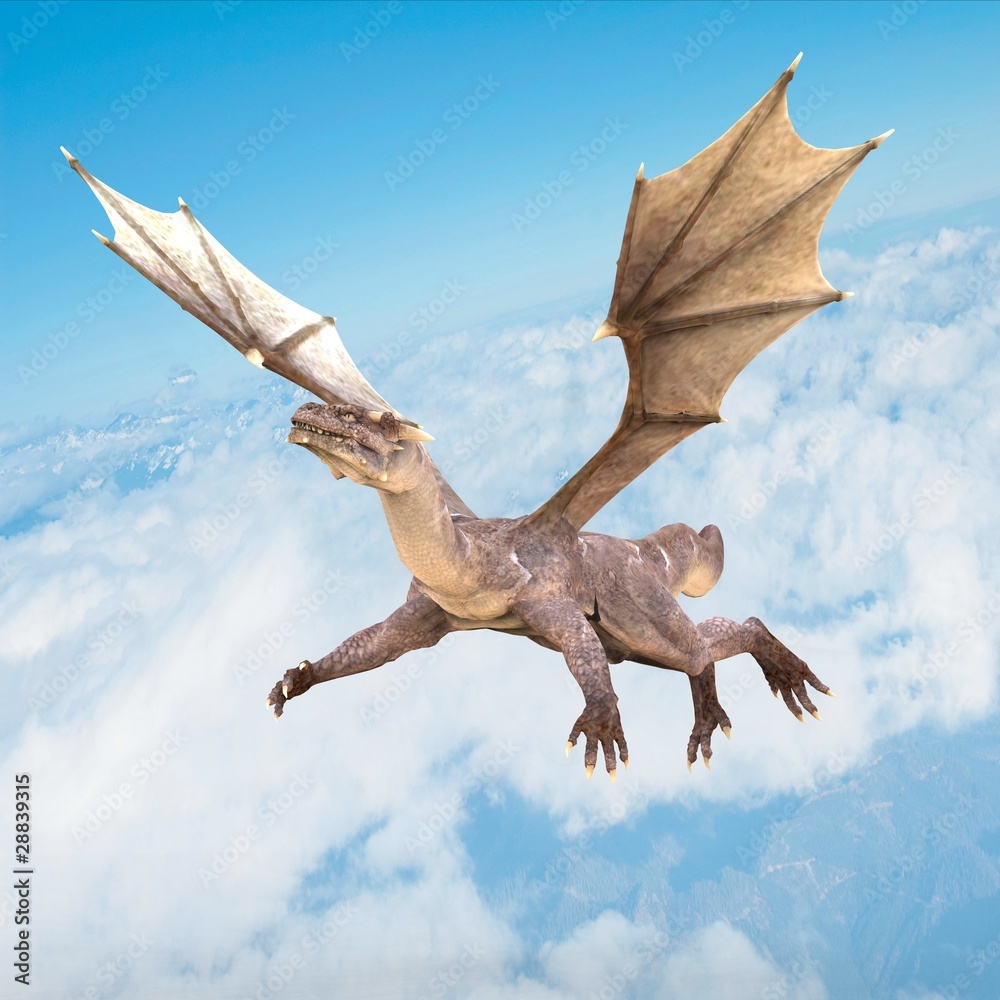 Dragon Flying In The Sky