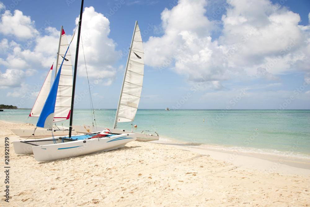 Hobie Catamaran Sailboats on the Beach Stock Photo | Adobe Stock