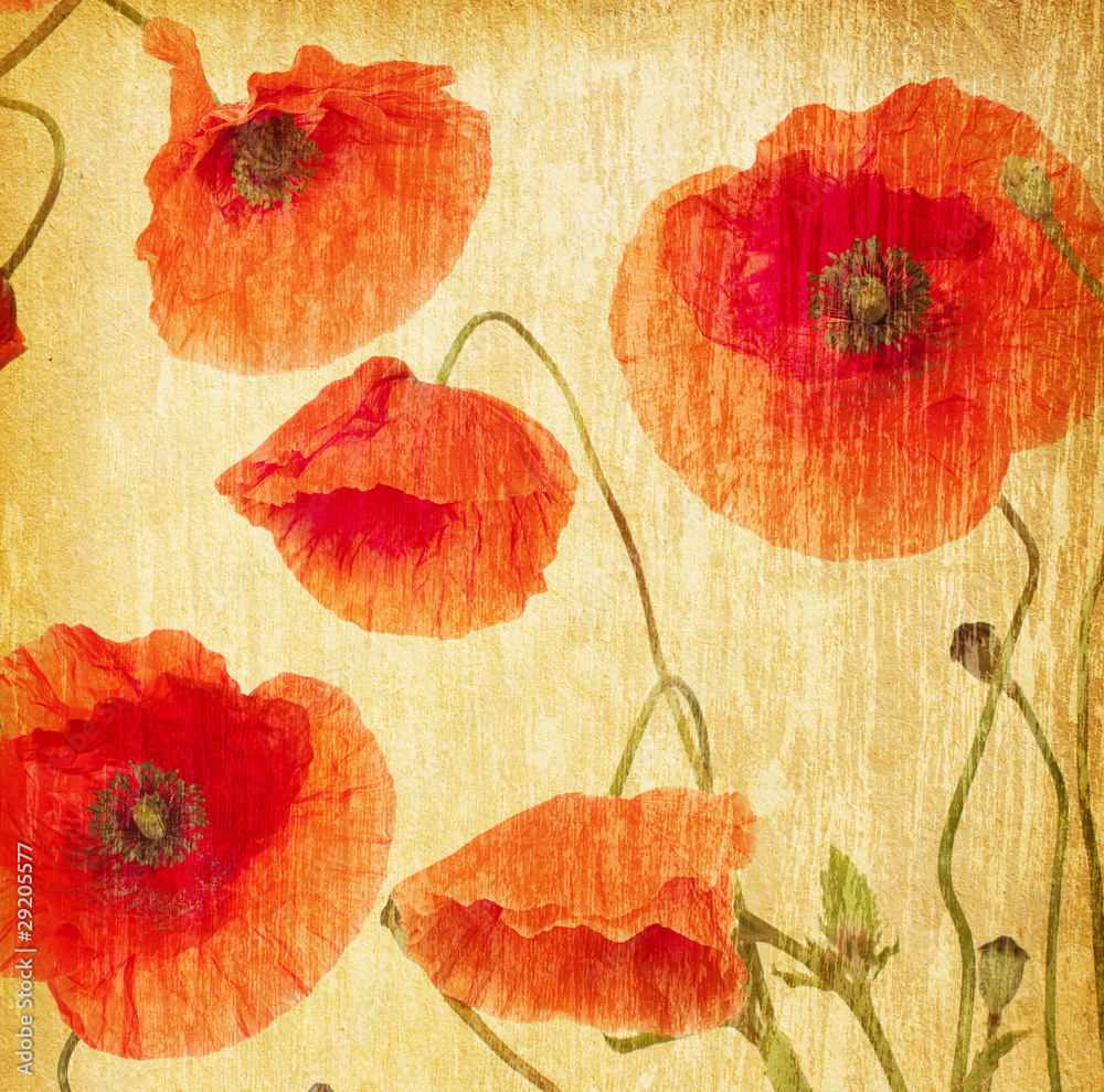 paper textures. Stock Photo | Adobe Stock