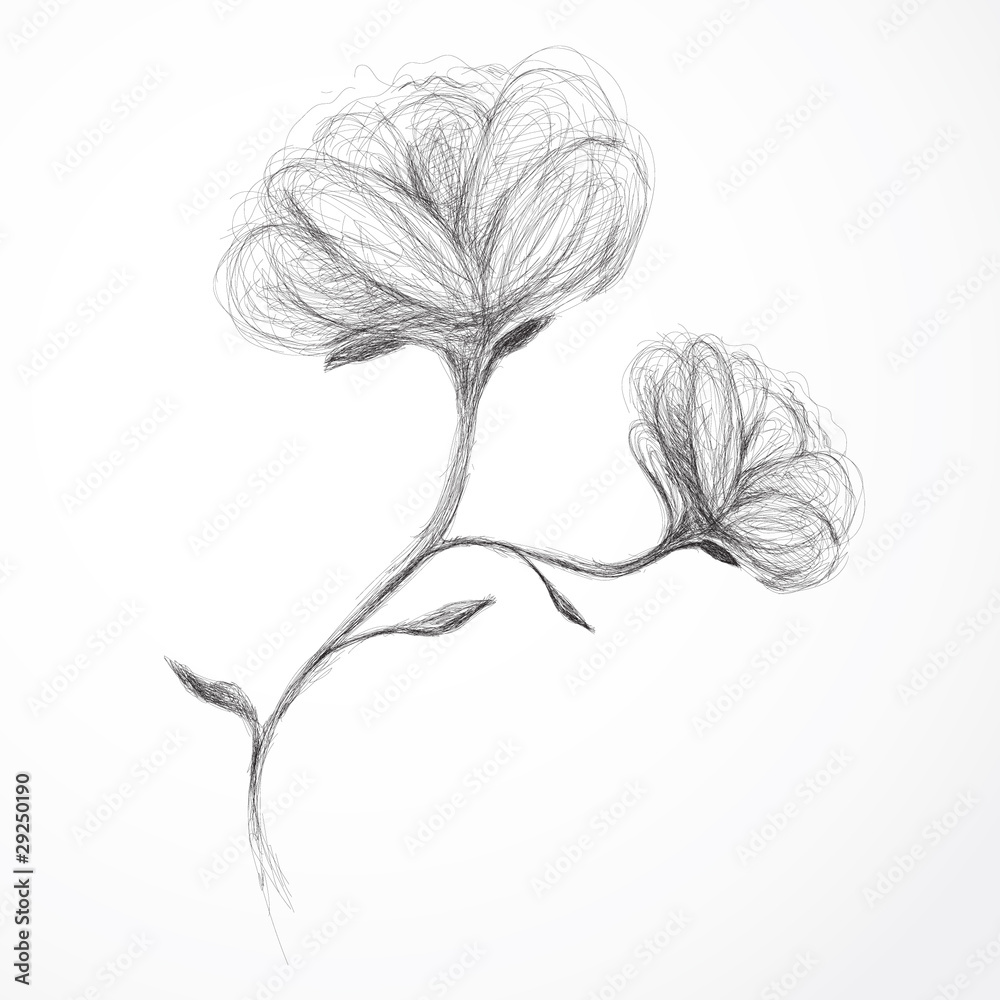 Realistic Flower Sketch