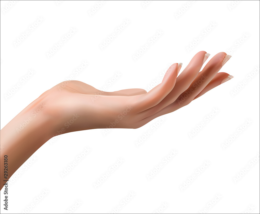 hand Stock Vector | Adobe Stock