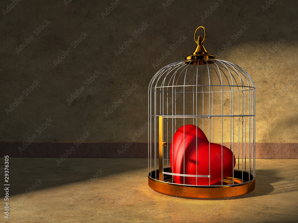 Heart in a cage Stock Illustration | Adobe Stock