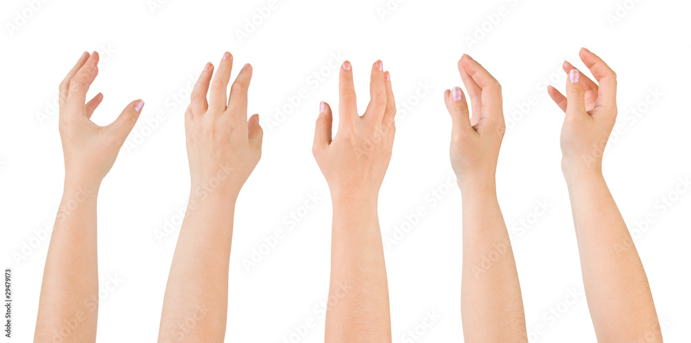 Five Hands Stock Photo | Adobe Stock