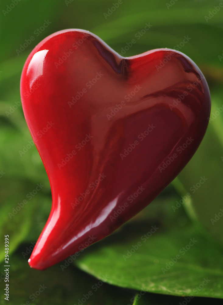 Serce Stock Photo | Adobe Stock