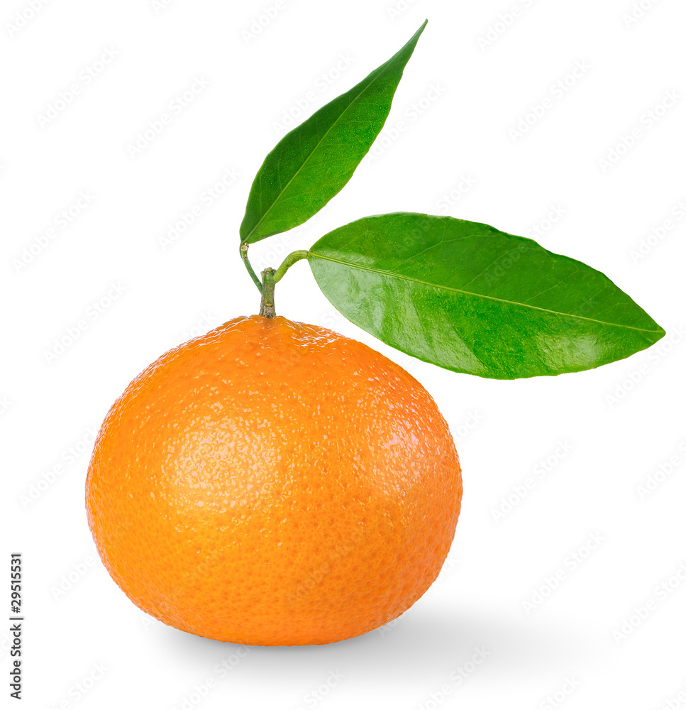 Tangerine with stem and leaves isolated on white background Stock Photo ...