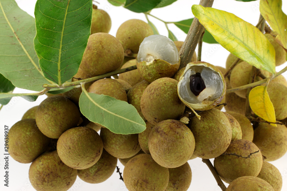 longani, longan, longane, oeil du dragon Stock Photo | Adobe Stock