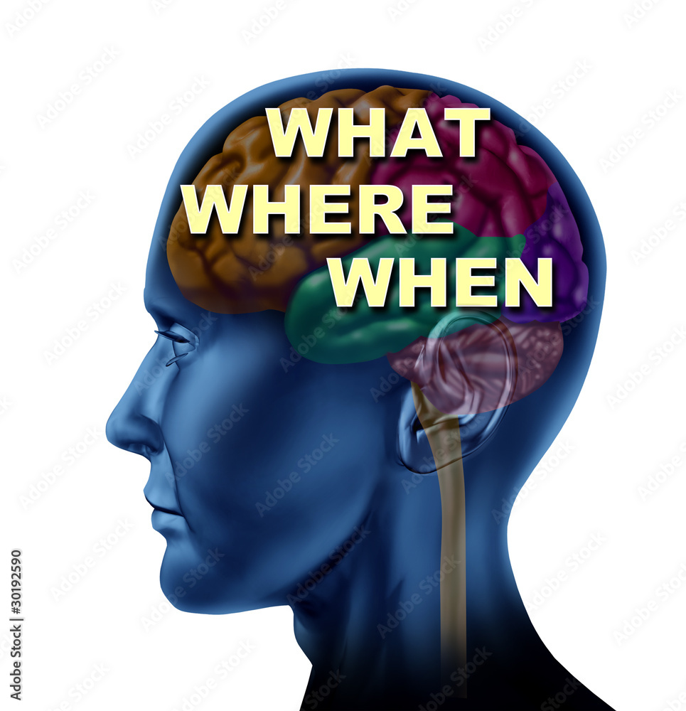 brain what where when decision choice concept isolated Stock ...