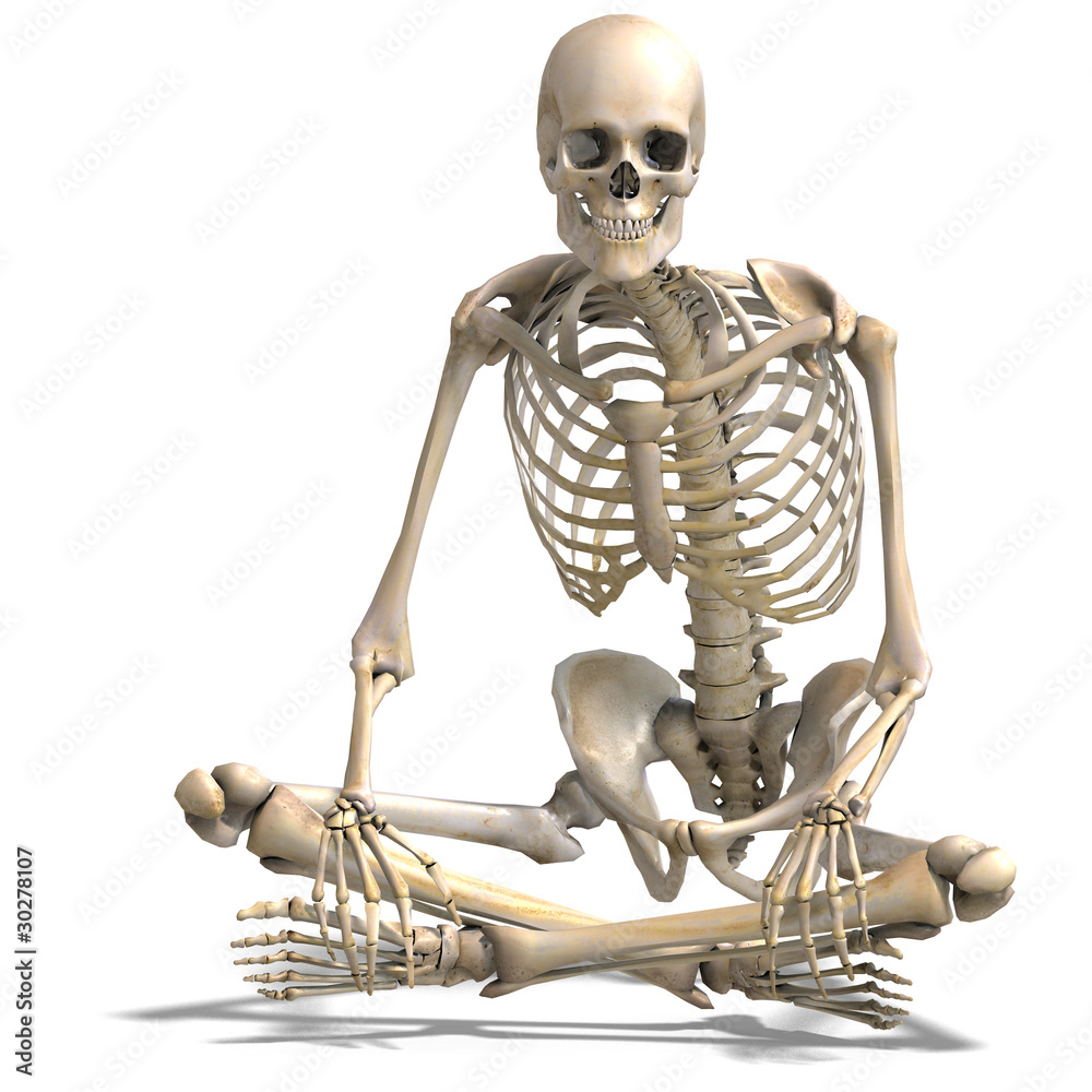anatomical correct male skeleton. 3D rendering with clipping Stock ...