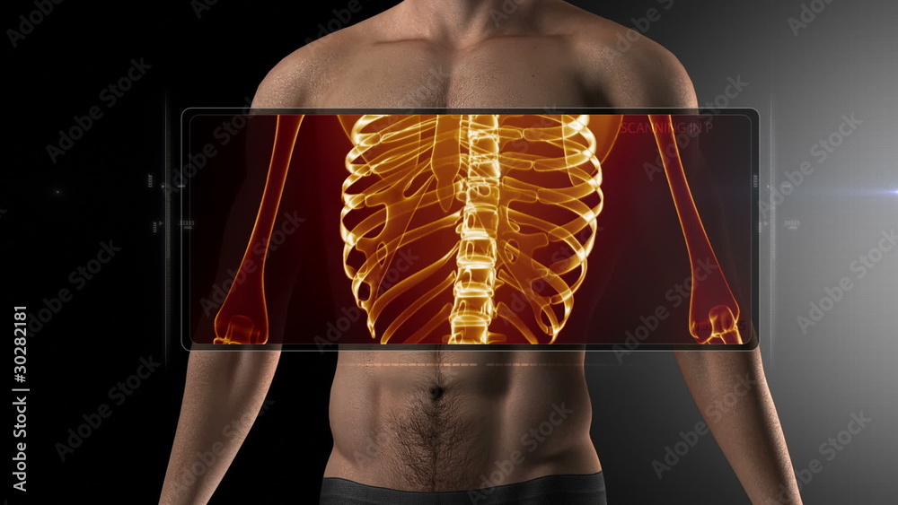 Human body medical x-ray scan Stock Video | Adobe Stock