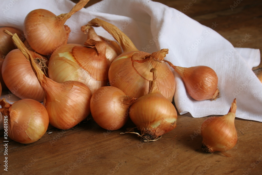 oignons Stock Photo | Adobe Stock