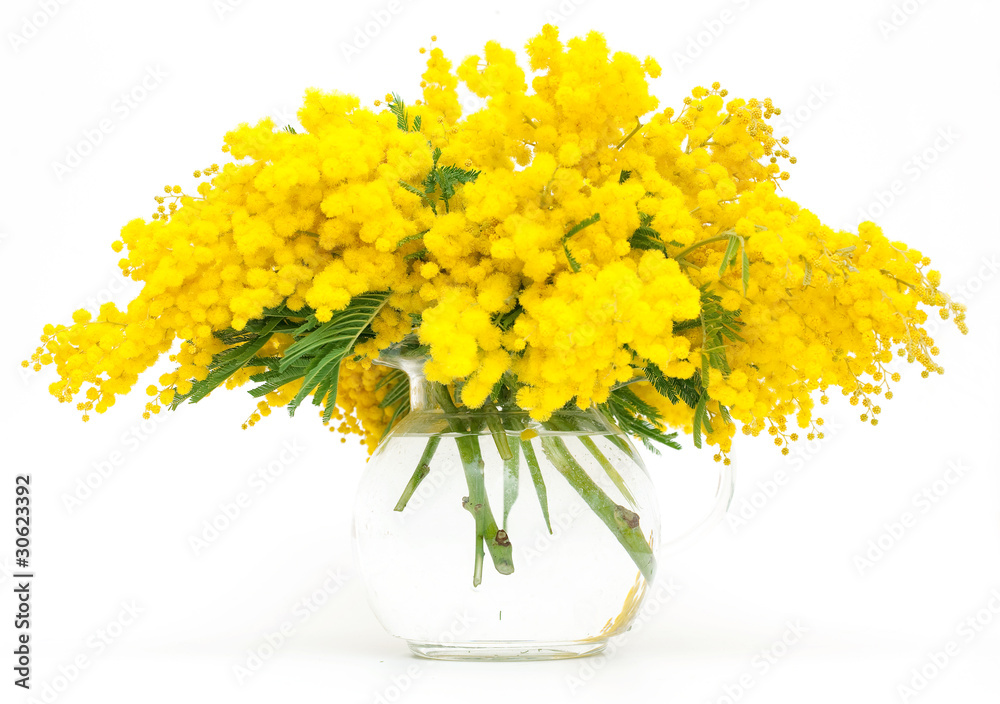 Mimosa Bouquet