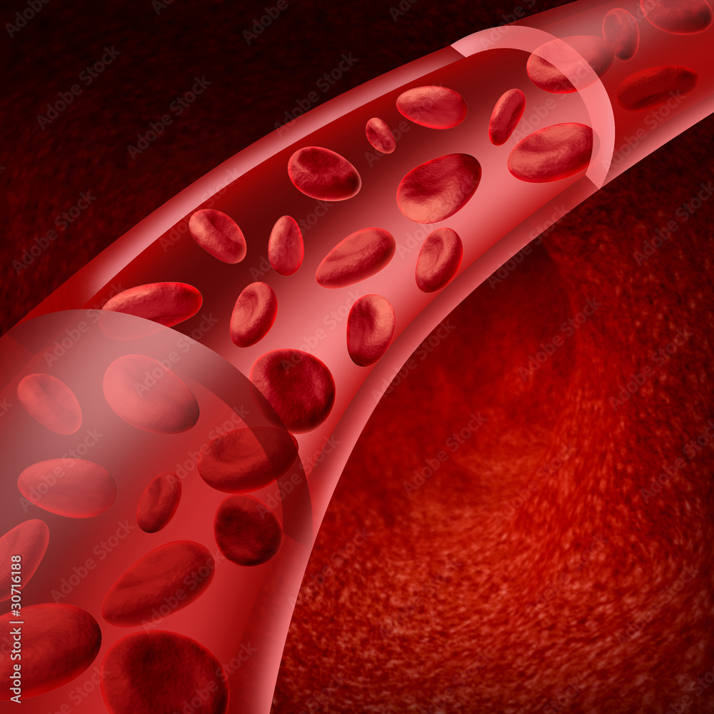 Blood cells flowing through veins and human circulatory system Stock ...