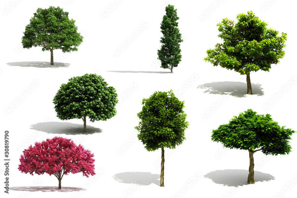 3d tree pack - render on white background Stock Illustration | Adobe Stock