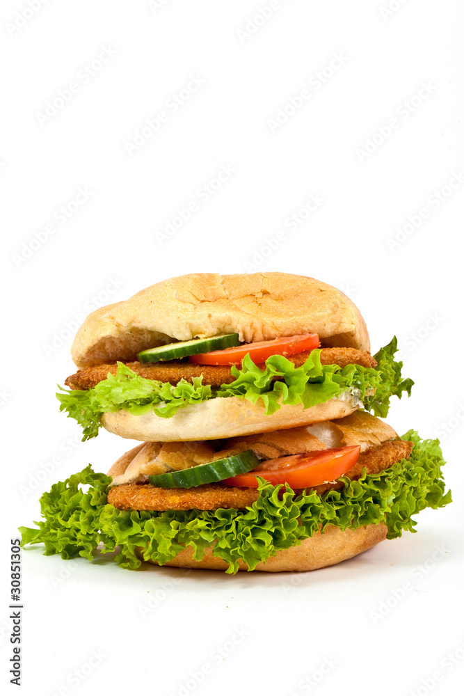 Schnitzelsemmel Stock-Foto | Adobe Stock