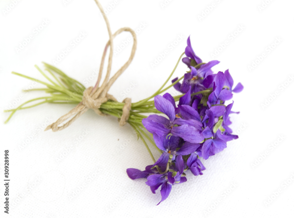 bouquet de violettes Photos | Adobe Stock